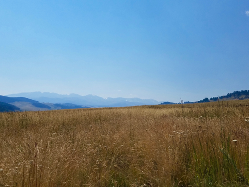 Where’s the Water in Wyoming – Jessica Swindon – Ucross High Plains ...