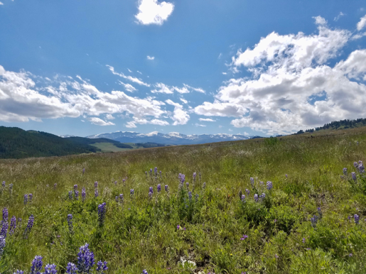 Where’s the Water in Wyoming – Jessica Swindon – Ucross High Plains ...