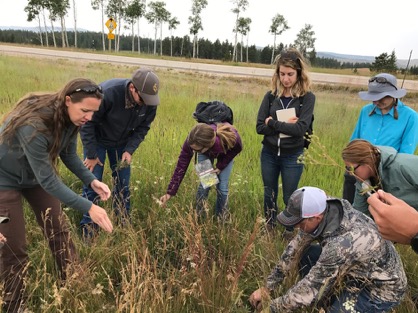 Plant ID with the Ranch Crew — Katie Panek – Ucross High Plains ...