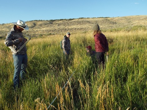 Plant ID with the Ranch Crew — Katie Panek – Ucross High Plains ...